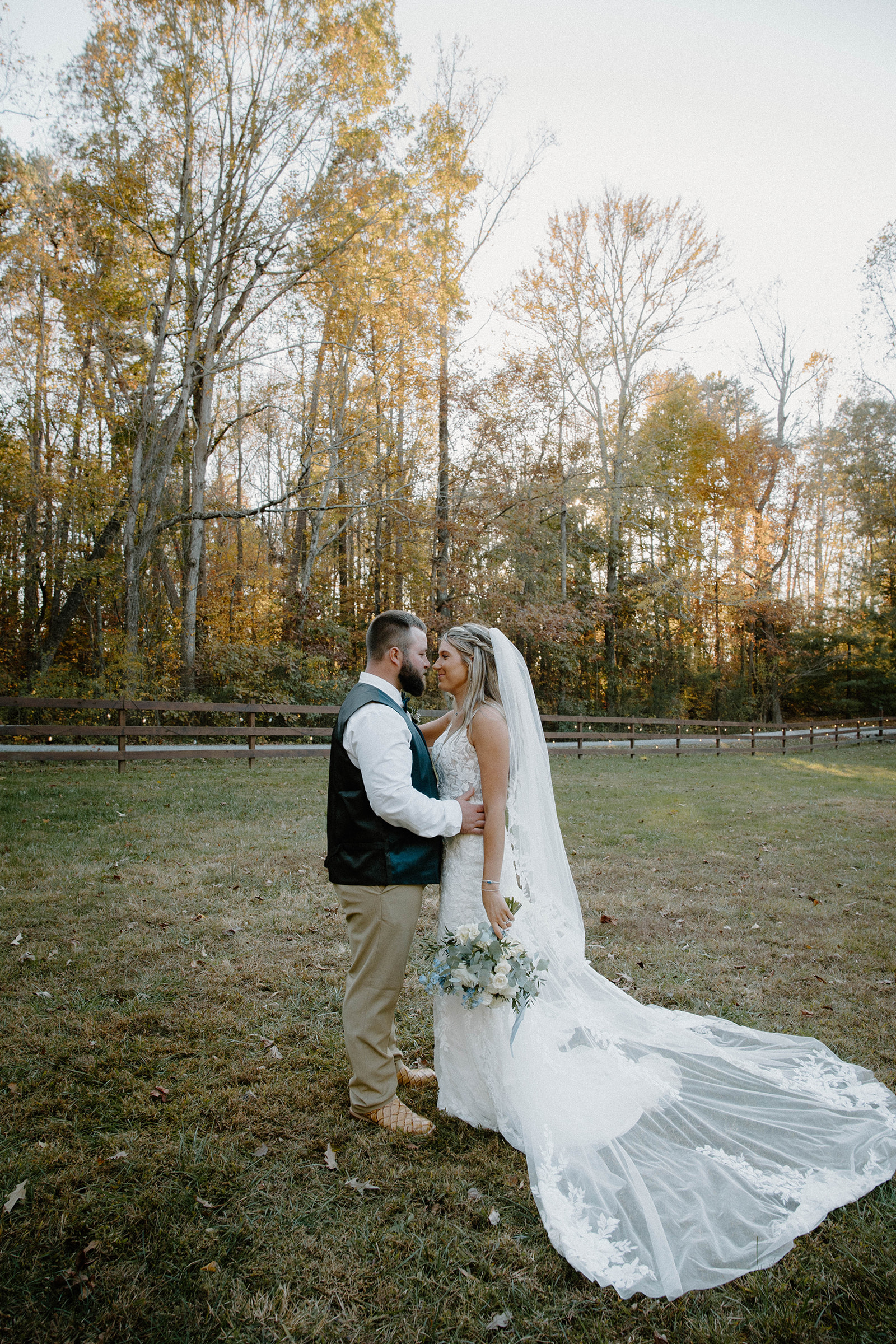 Allison Wise Photography
